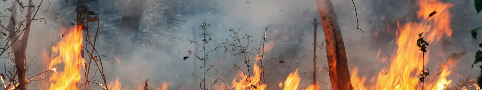 LA Wildfire case study (KS4&5) - Met Office
