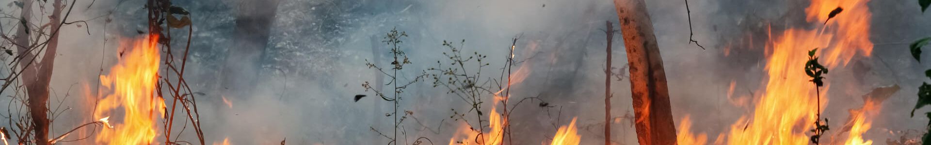 LA Wildfire case study (KS4&5) - Met Office