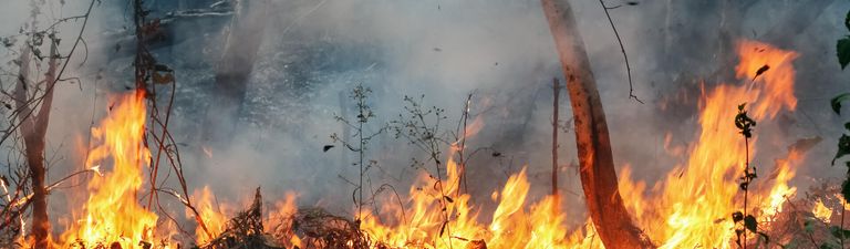 LA Wildfire case study (KS4&5) - Met Office