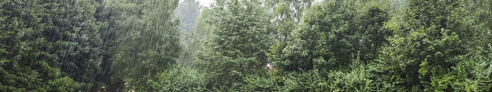 Met Office weather: Your guide to camping at this weekend's festivals ...