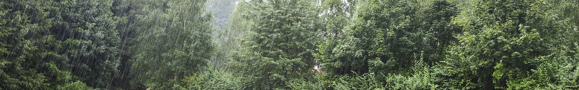 Met Office weather: Your guide to camping at this weekend's festivals ...