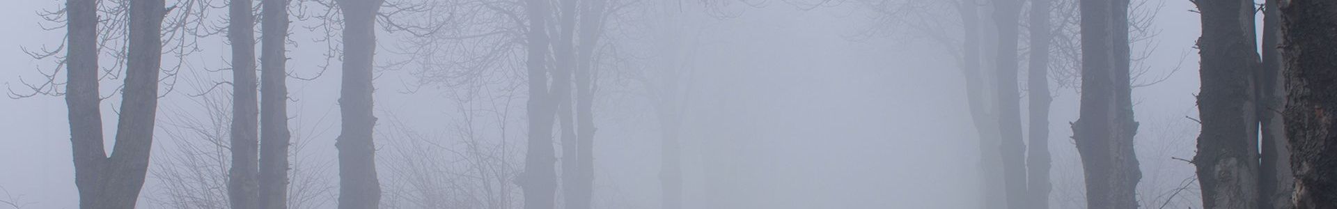 3 tips for staying safe in fog - Met Office