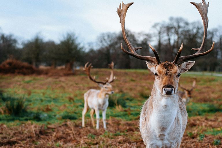 How is our changing climate affecting nature? - Met Office