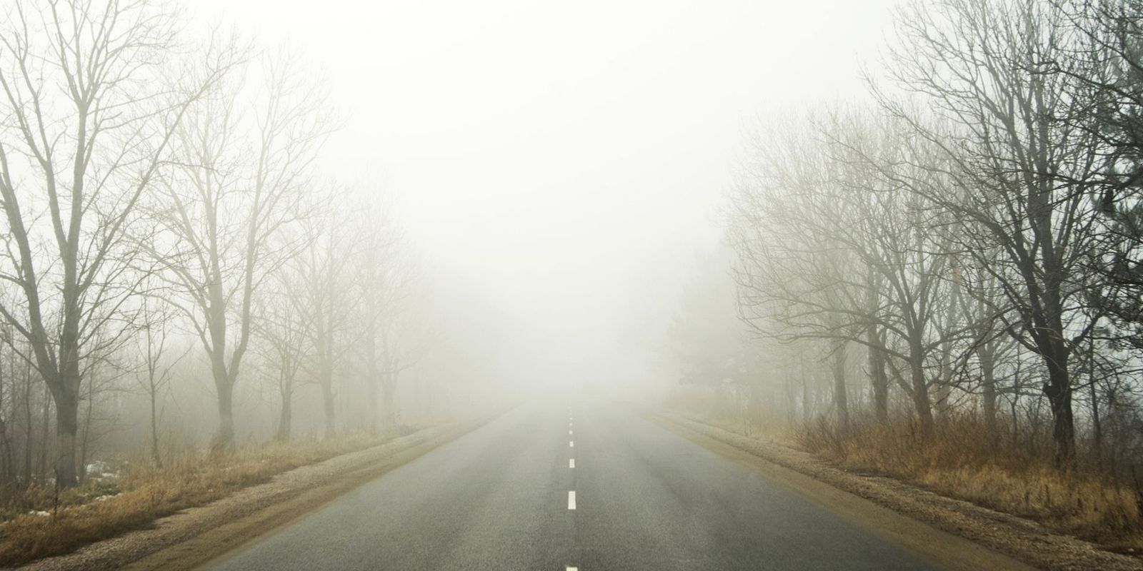 Mist, fog, and haze: What's the difference? - Met Office