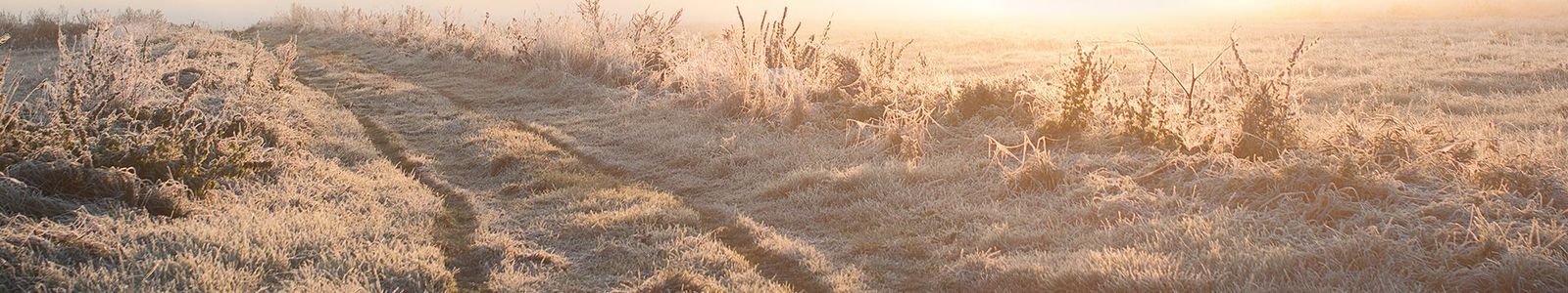 Weather services for contingency planners - Met Office