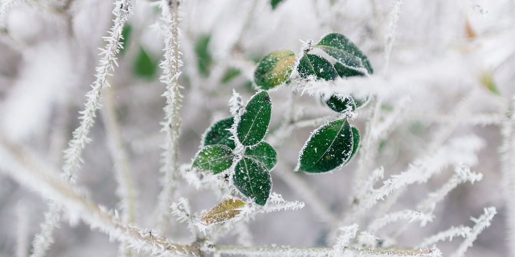 Why frost can still occur in late Spring - Met Office
