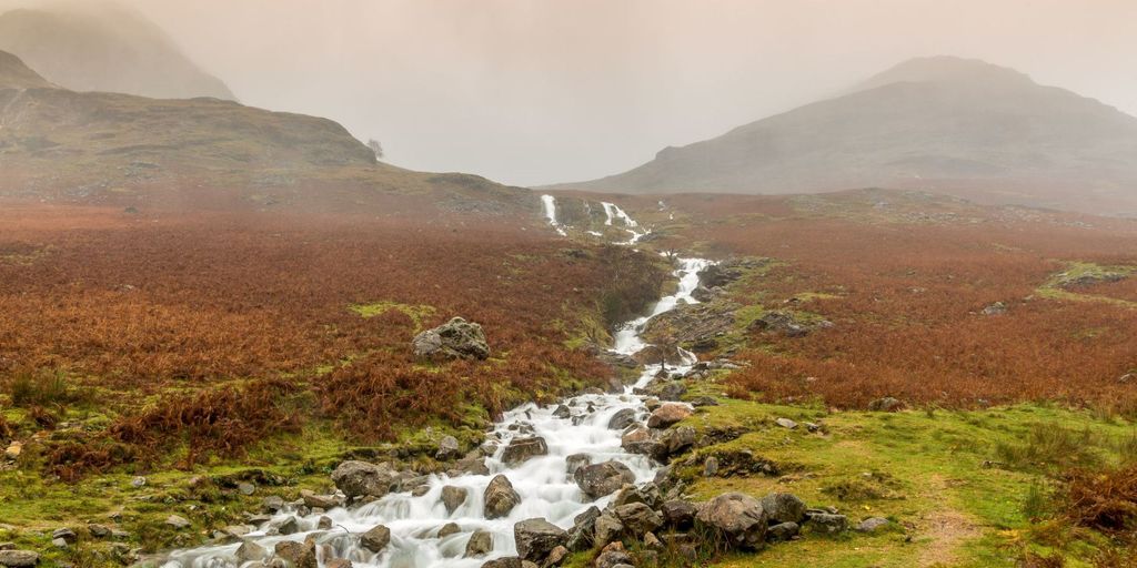 Dull and mild February brings wet winter to a close - Met Office
