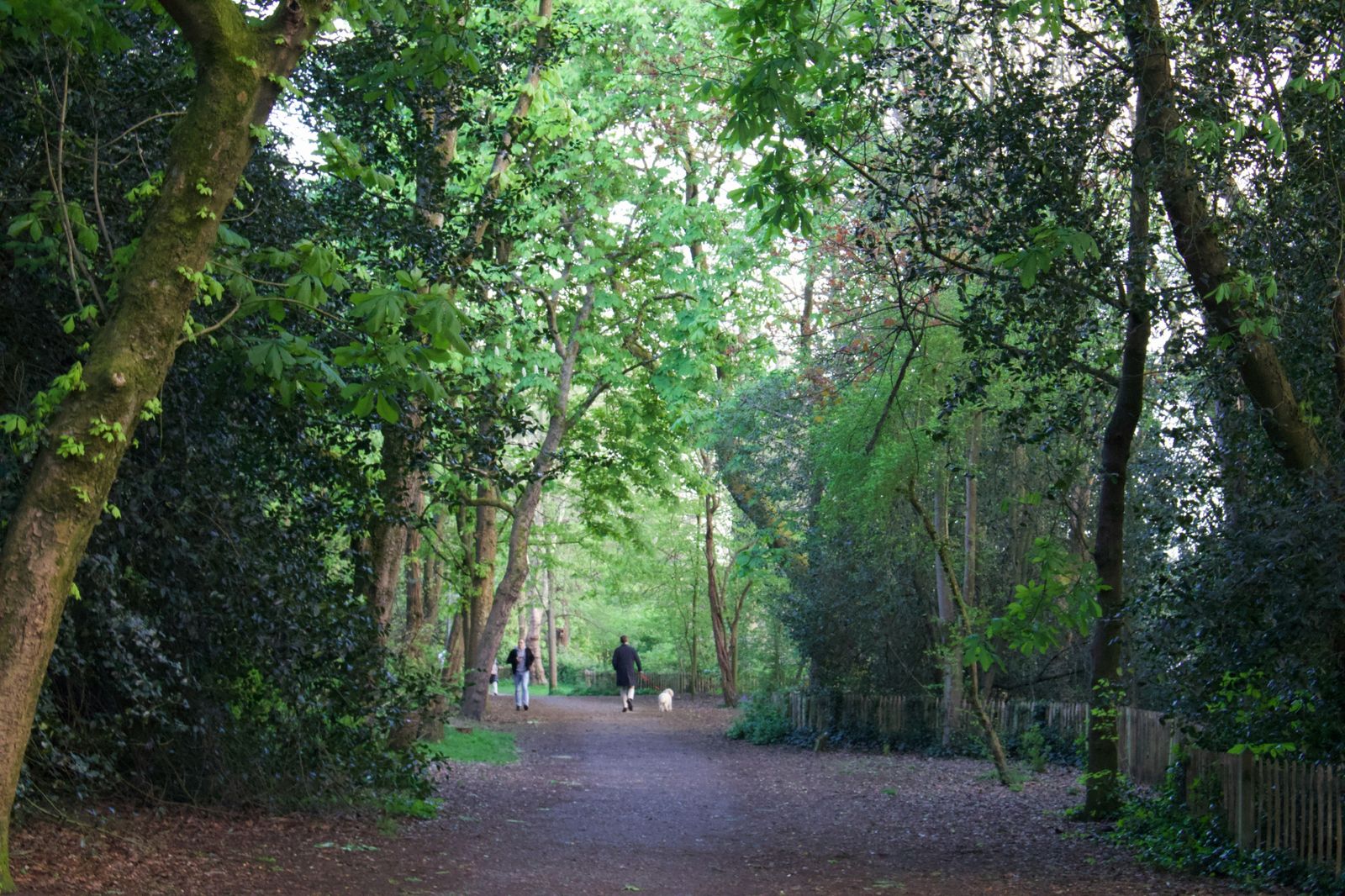 How is our changing climate affecting nature? - Met Office
