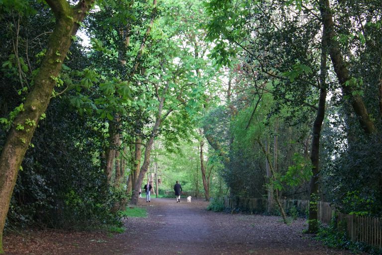 How is our changing climate affecting nature? - Met Office