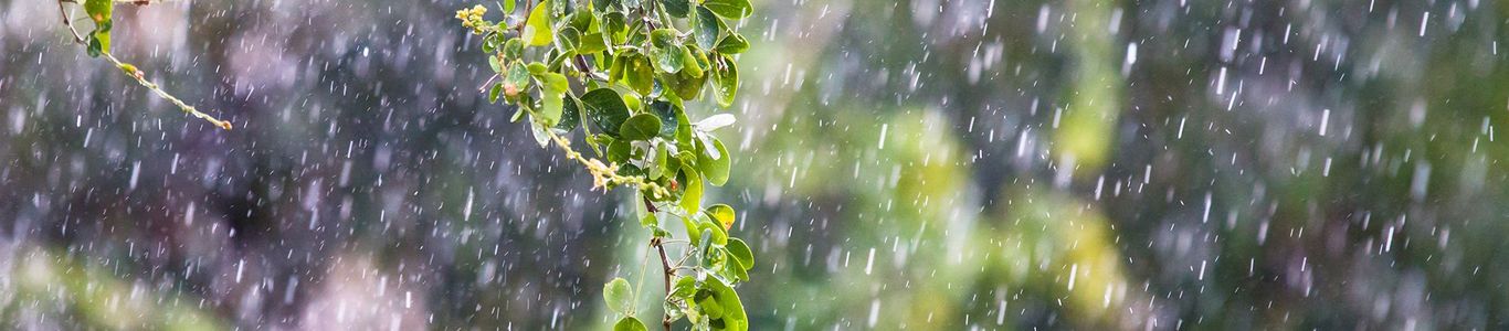 Monsoons - Met Office