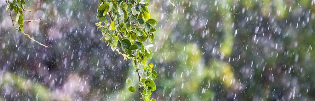 Monsoons - Met Office