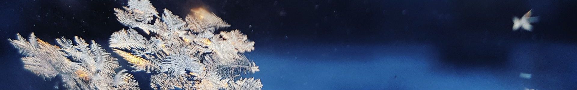 Snowflakes - Met Office