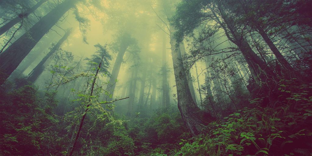 What is humidity and how does it affect human health? - Met Office