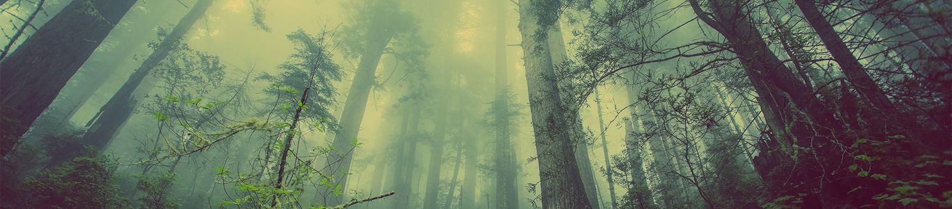 What is humidity and how does it affect human health? - Met Office