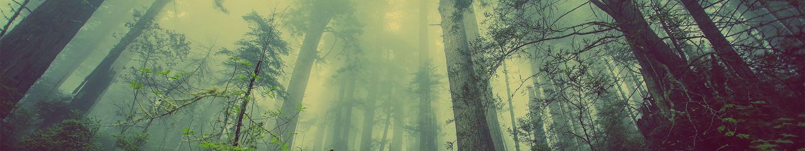 What is humidity and how does it affect human health? - Met Office