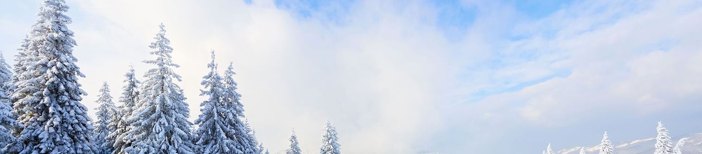 Albedo - Met Office