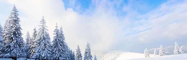 Albedo - Met Office