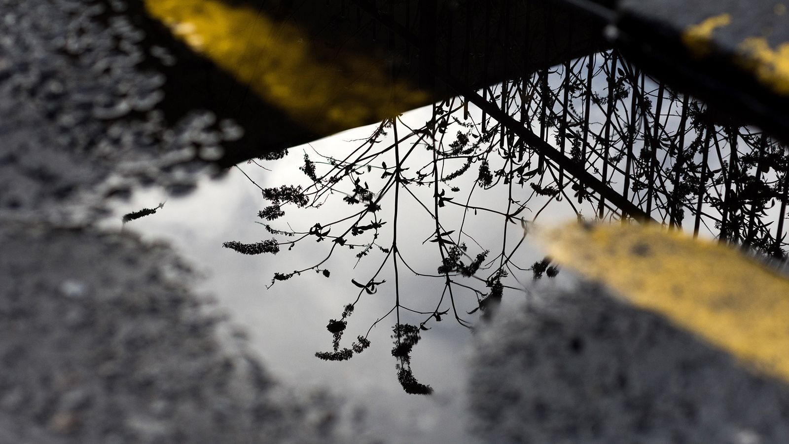 Storm Claudia to bring heavy and disruptive rain for many - Met Office