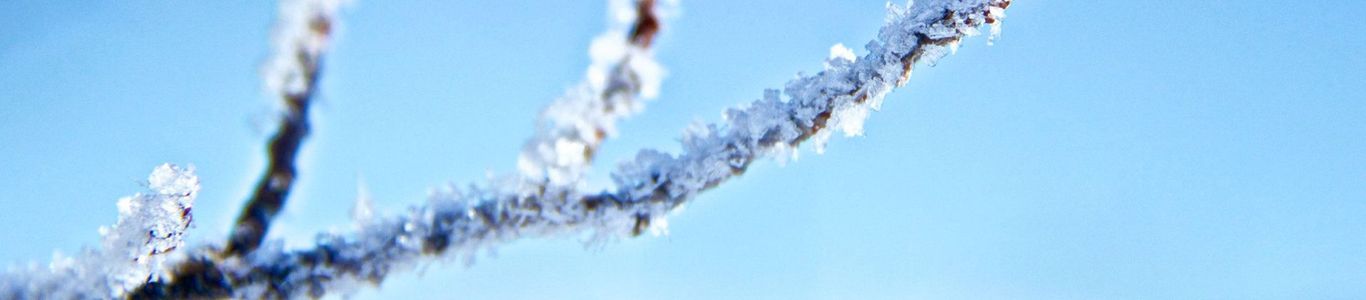 When will we know if snow is on the way this winter? - Met Office