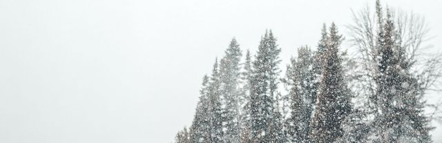 Blizzards and snow drifts - Met Office