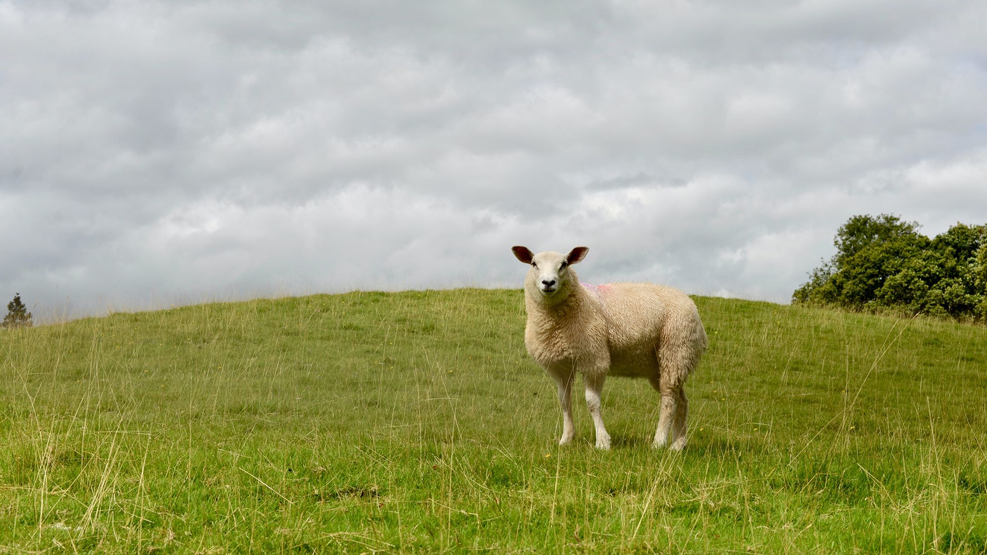 Fool’s spring: why warm spells can be misleading - Met Office