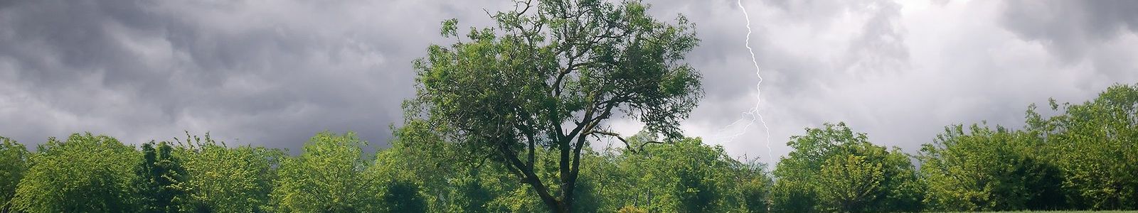 Unsettled weather continues with changeable weekend ahead - Met Office