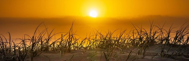 Highs of 33°C forecast this weekend - Met Office