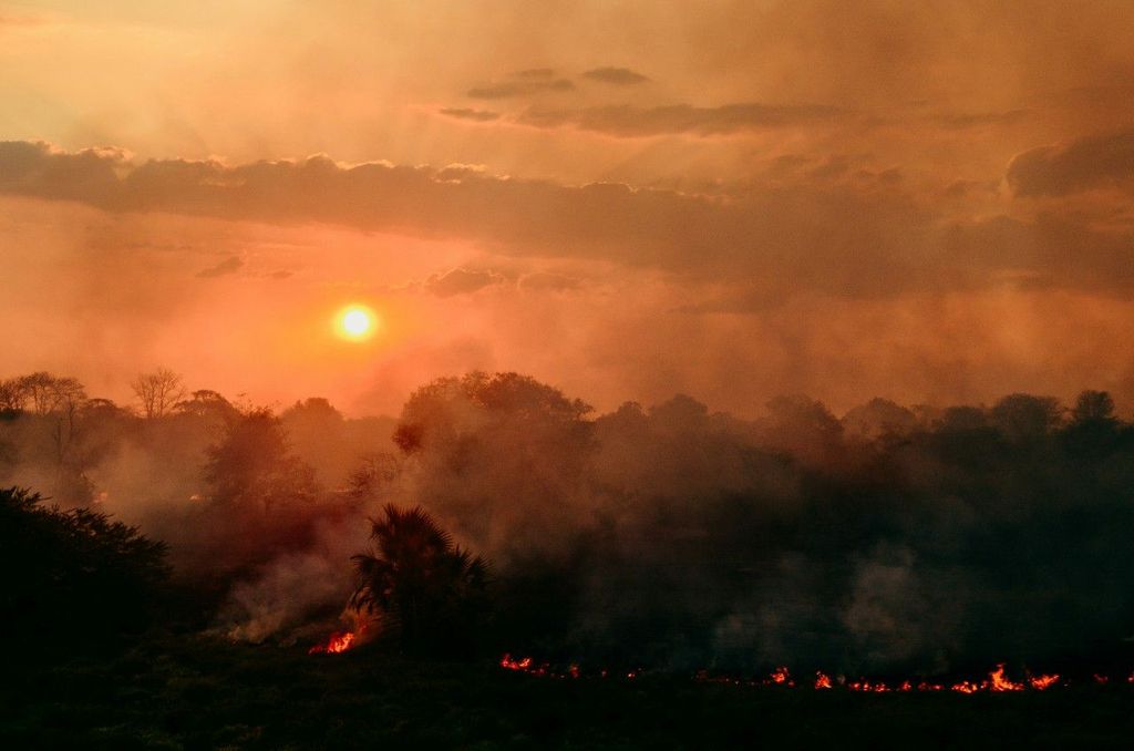 Climate change increases global burnt area - Met Office
