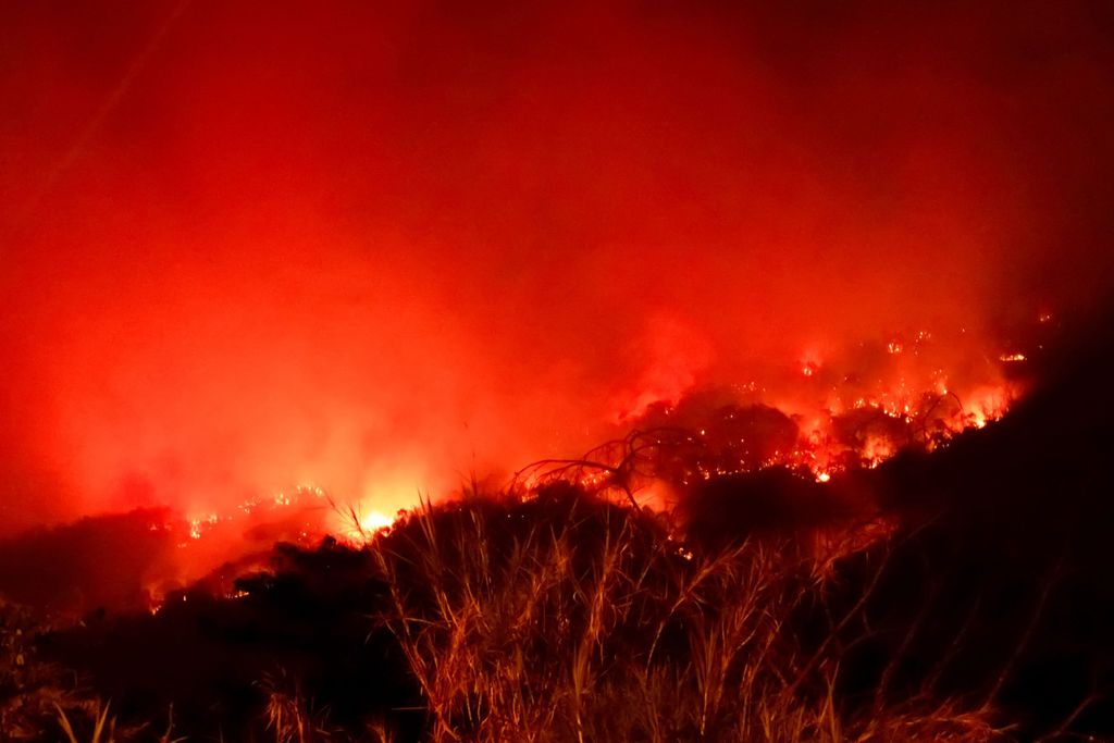 Climate change raised the odds of unprecedented wildfires in 2023-24 ...