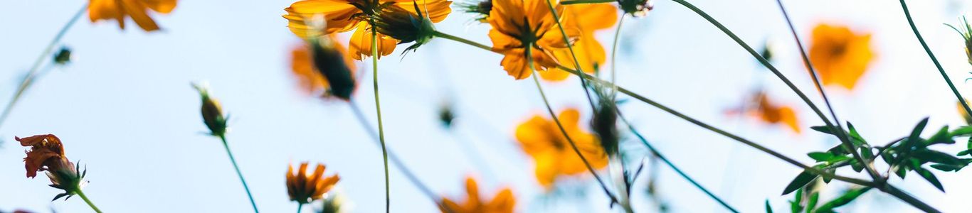 Spring: a season of change - Met Office