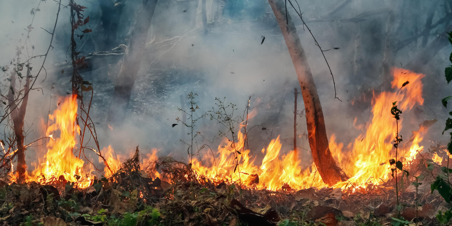 UK and Global Fire Weather - Met Office UK and Global Fire Weather - Met Office