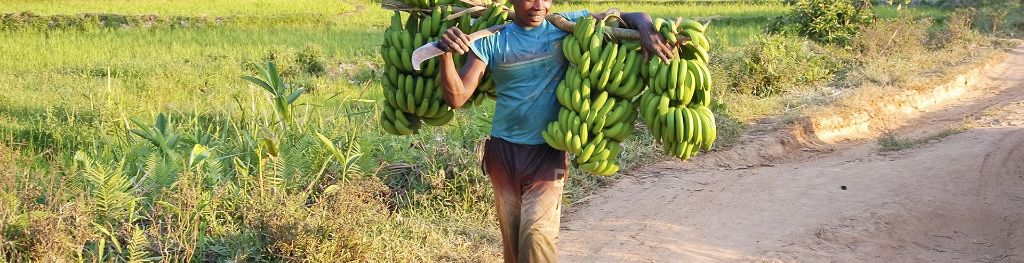Impacts on food security - Met Office