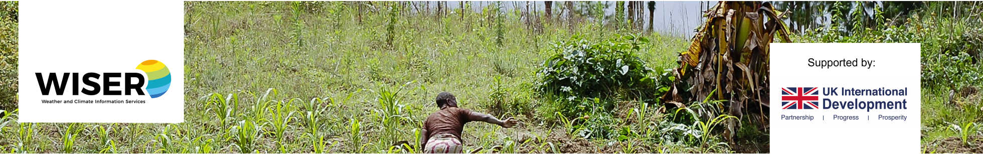 Co-production: effective approaches for service development - Met Office