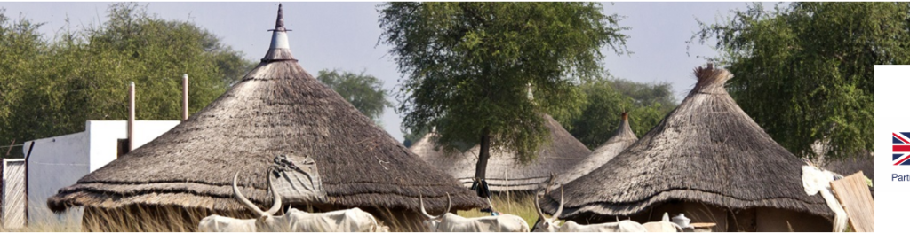 WISER case studies - Met Office