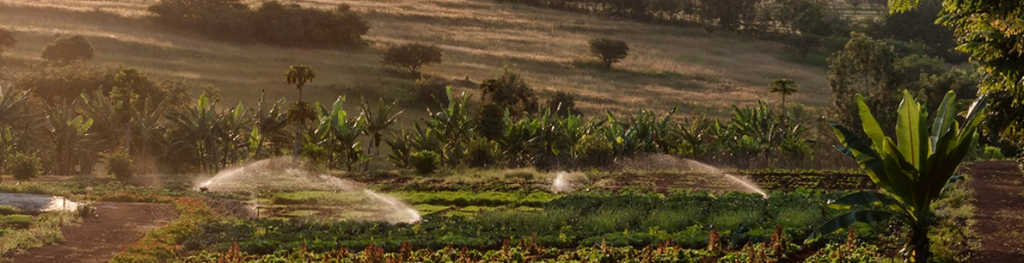 Multi-hazard early warning service (MHEWS) Tanzania - Met Office