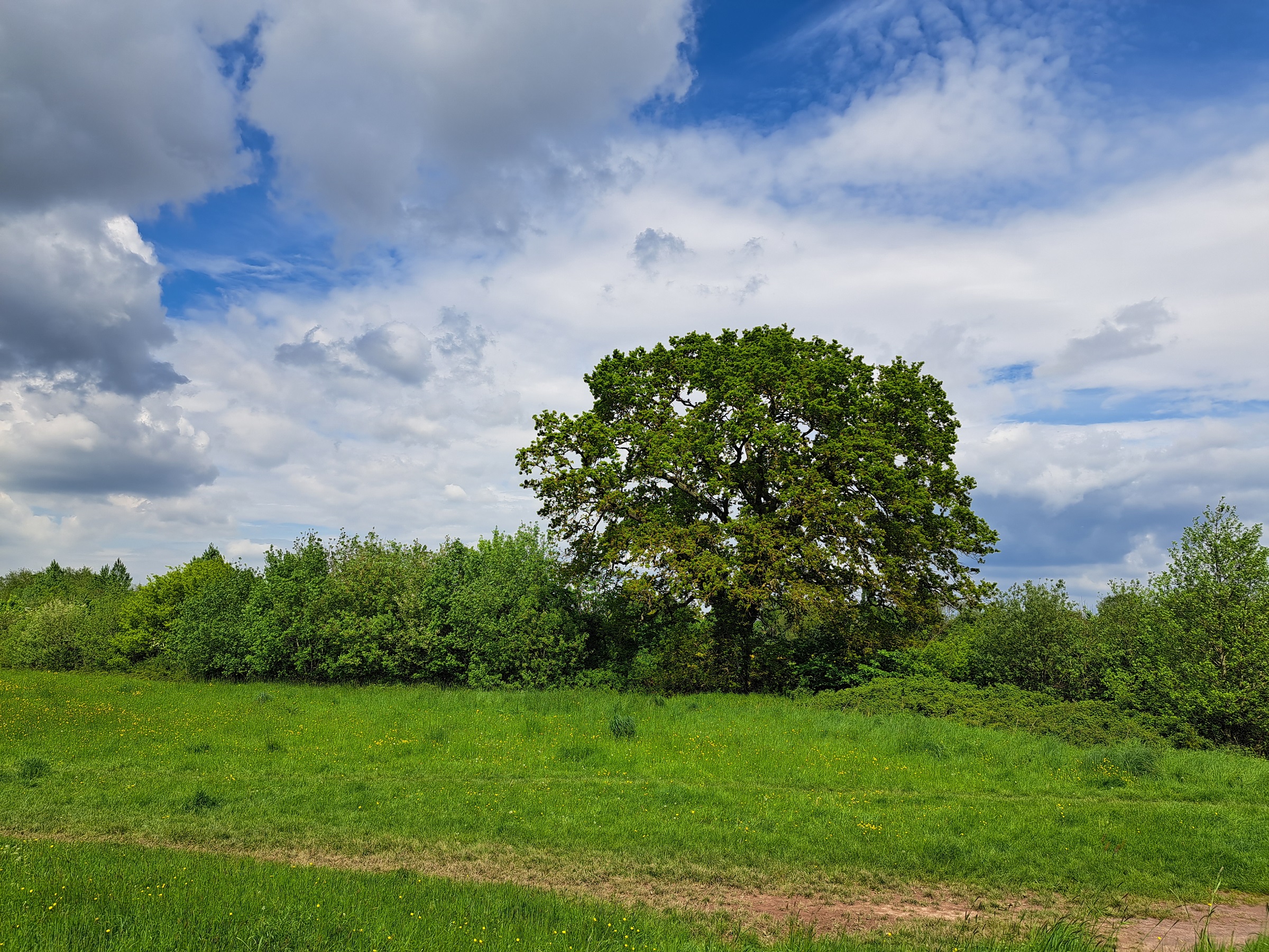 Signs of warmer weather on the way? - Met Office