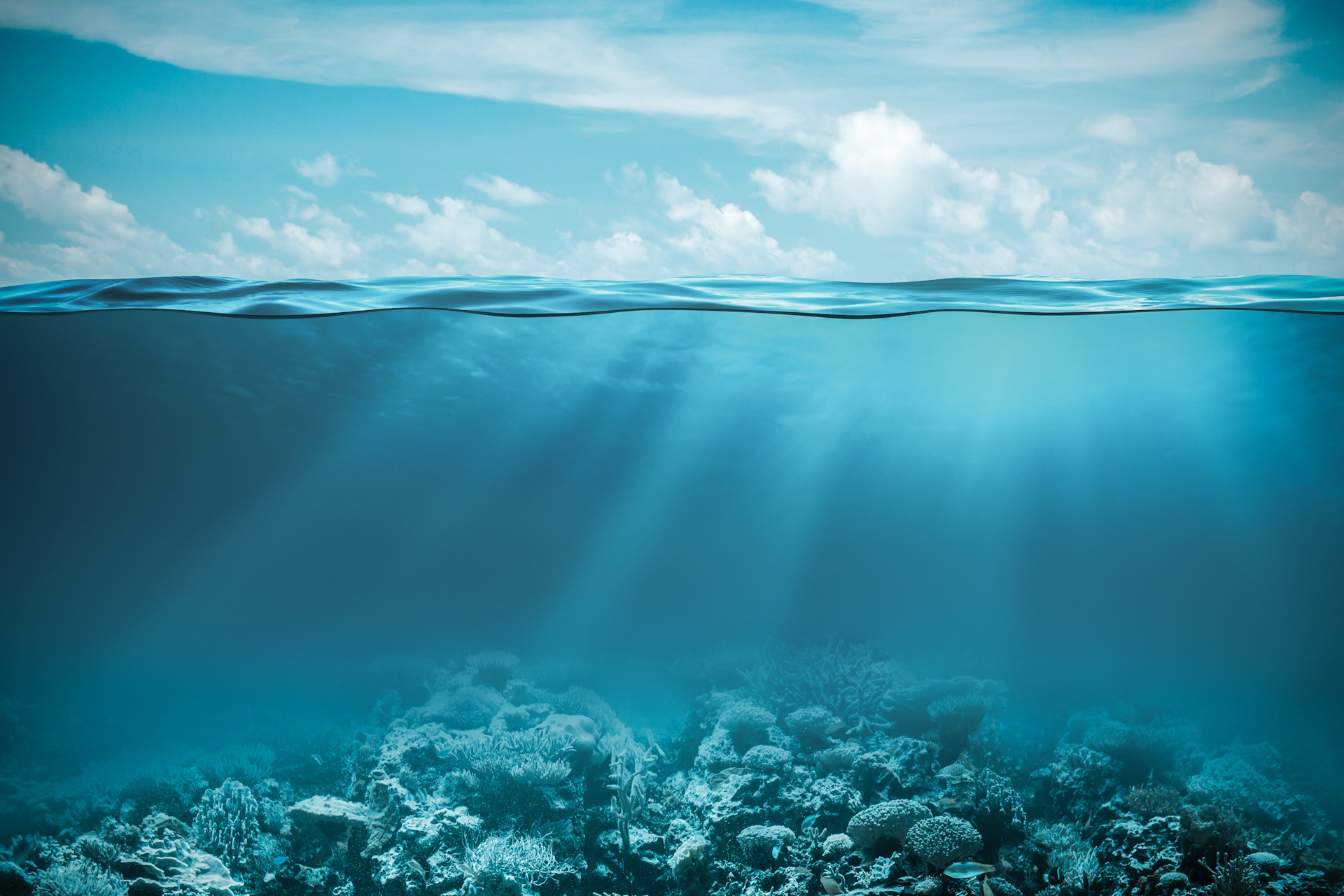 NEMO: a numerical ocean model - Met Office