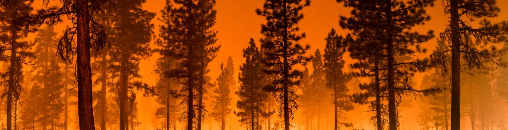 Global impacts of climate change - observed trends - Met Office