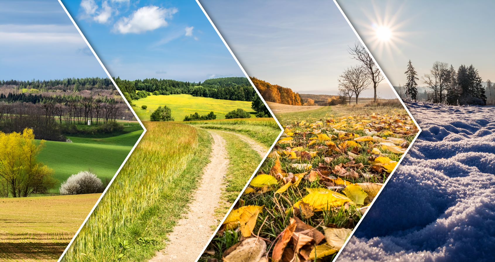 Forecasting the weather - Met Office