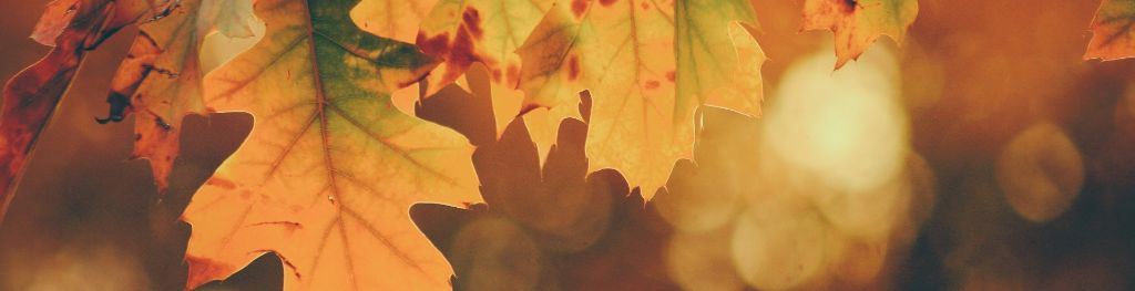 Autumn Rain Facebook Cover