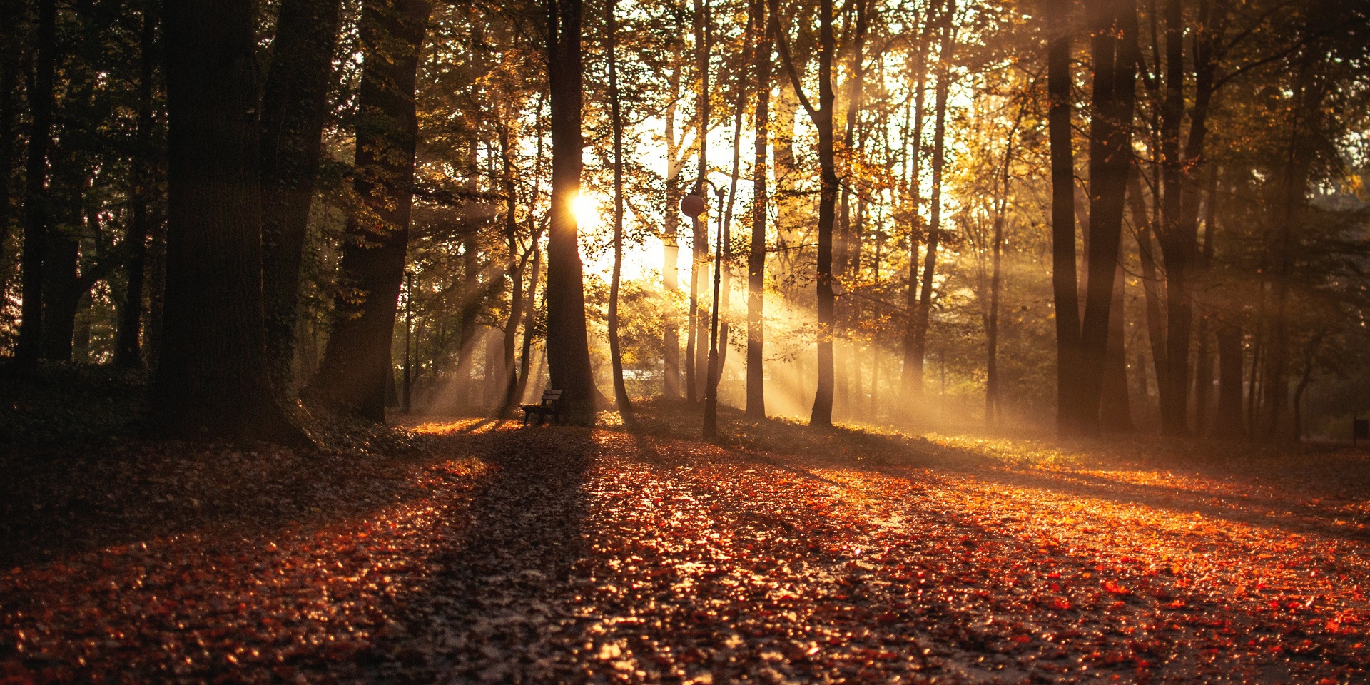 Mild and dry October - Met Office