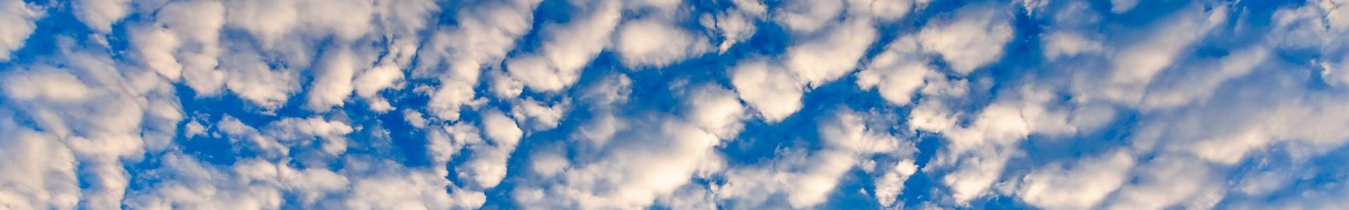 Mid Level Clouds Amazon.com: Poster Laminated Clouds Educational