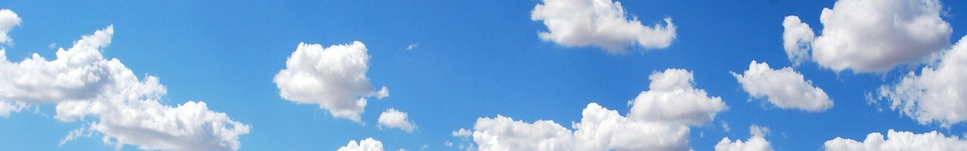 sky-roseannzunairah