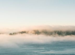 8 facts about fog - Met Office