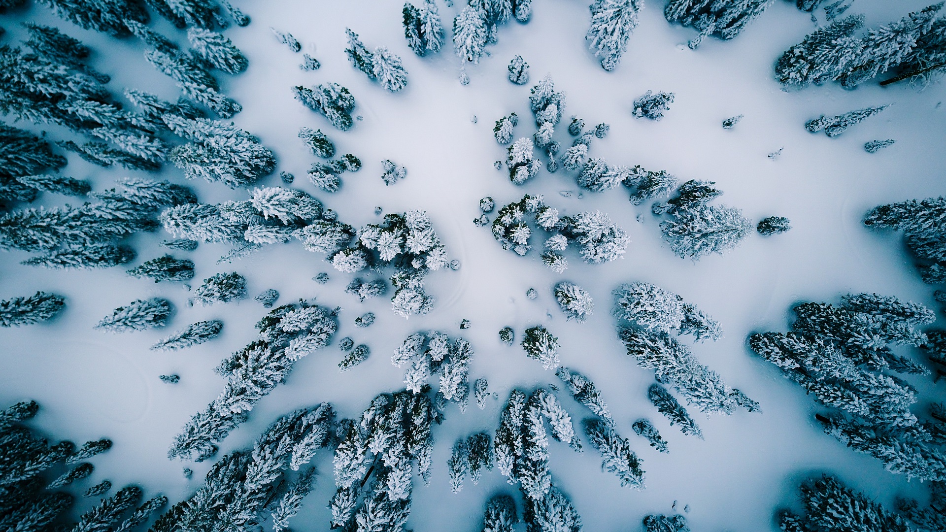 Clearing your path or driveway - the snow code - Met Office