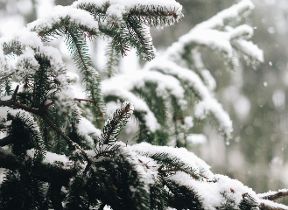 8 Interesting Facts About Winter Met Office 8-interesting-facts-about-winter-met-office