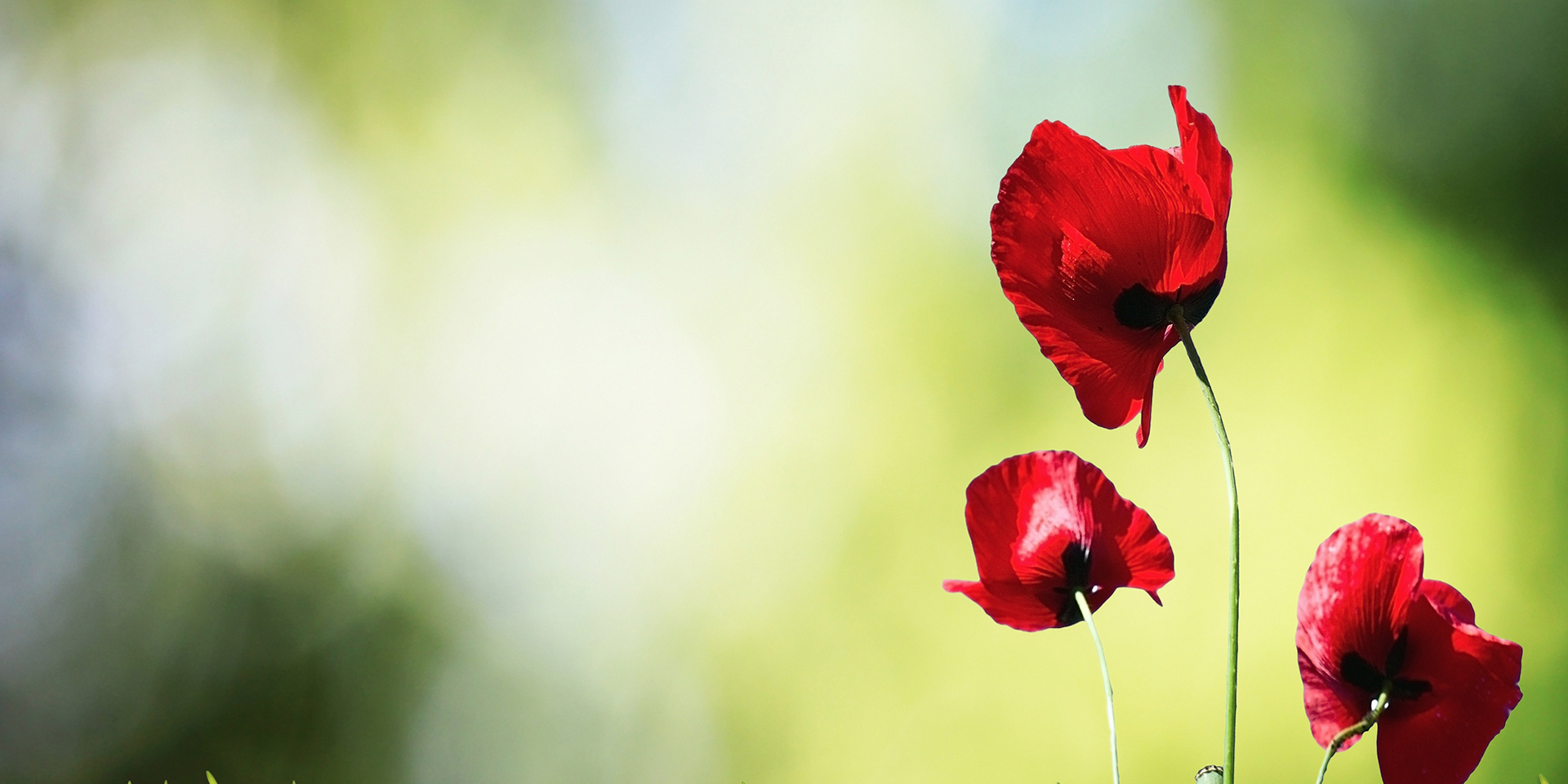 The Met Office in WW1 - Met Office