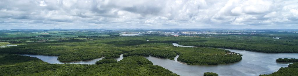 Tropical Wetlands Water Utilities
